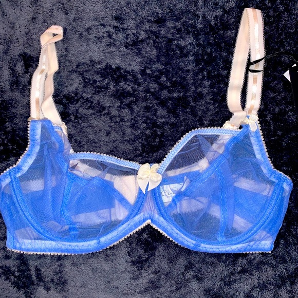 Claudette | Intimates & Sleepwear | Claudette Dessous Sheer Mesh Bra ...